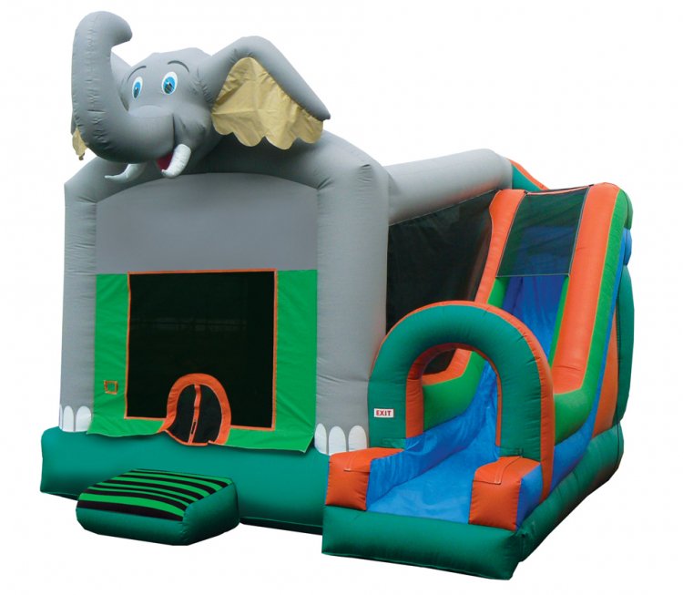 Slides & Combos - BSB Party Rentals LLC